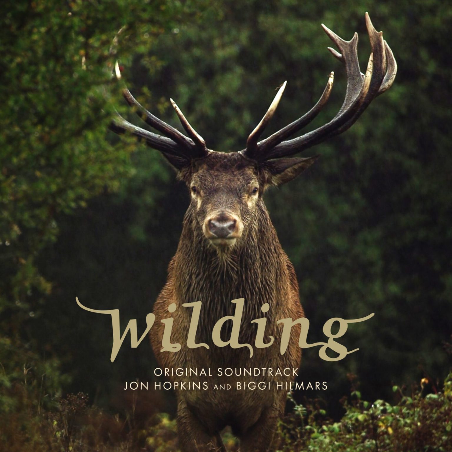Jon Hopkins & Biggi Hilmars – Wilding (Original Soundtrack) – The Wee ...